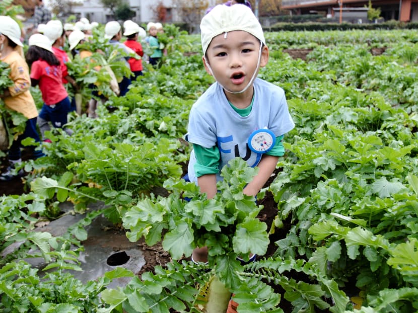 In Japan’s pre-schools, children must play - TODAY