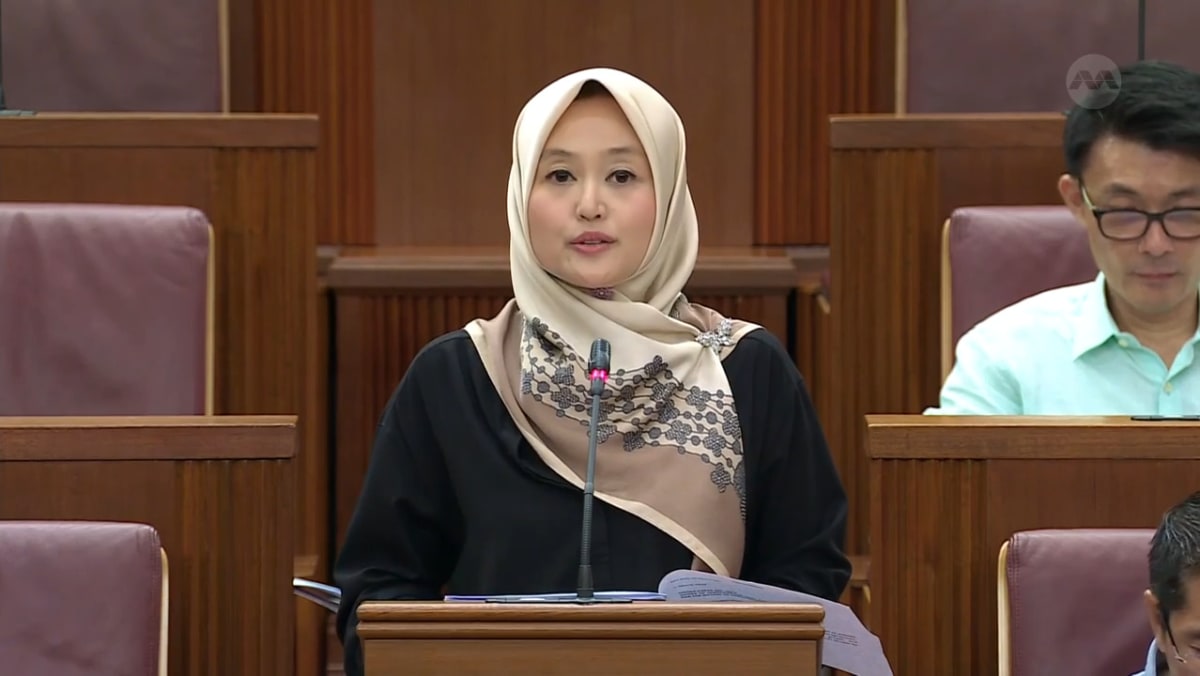 Rahayu Mahzam on affordable health planning programmes - CNA