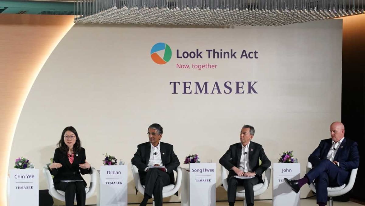Temasek’s portfolio value at new record high, but growth rate and ...