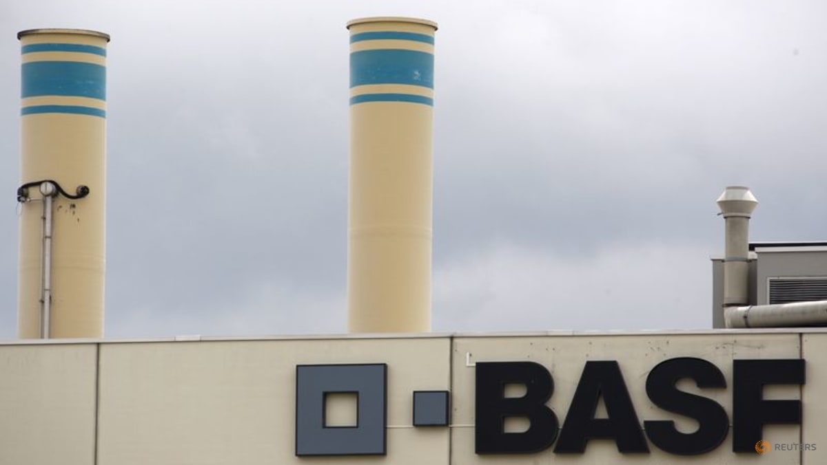 BASF signs US$5.6 billion syndicated bank term loan facility for China ...