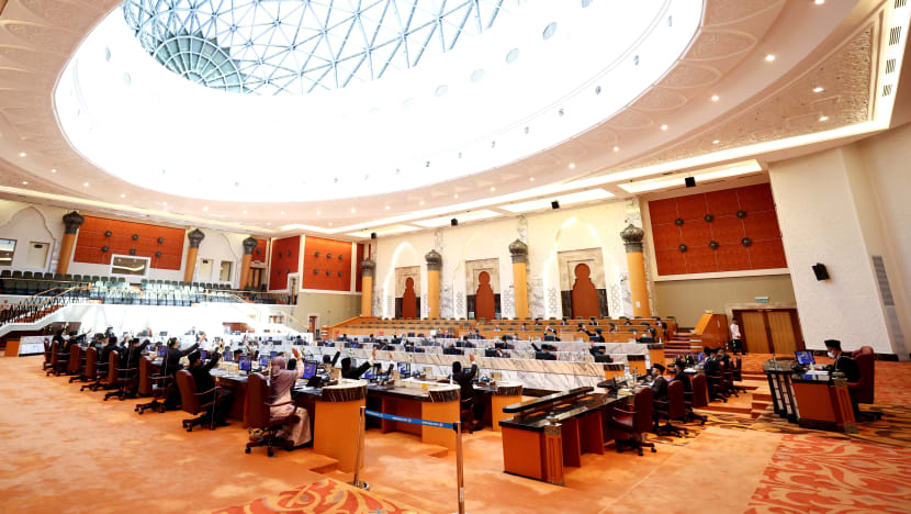 Johor passes Bill to lower eligible age of election candidates from 21 ...