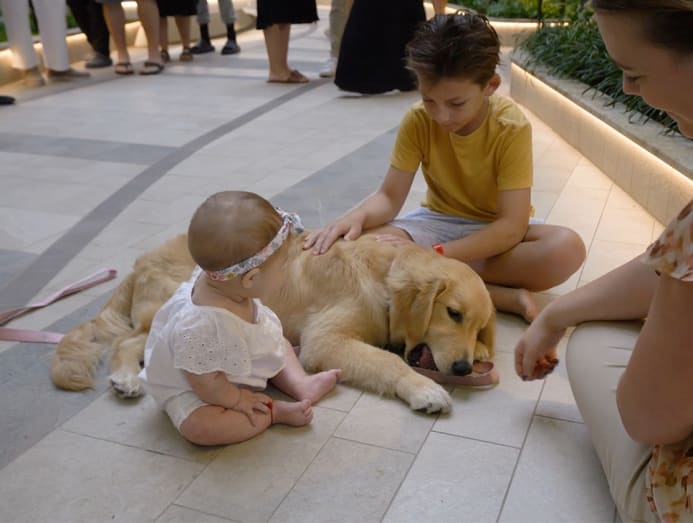 Royal Caribbean's Icon of the Seas: We stayed on the world's largest ...