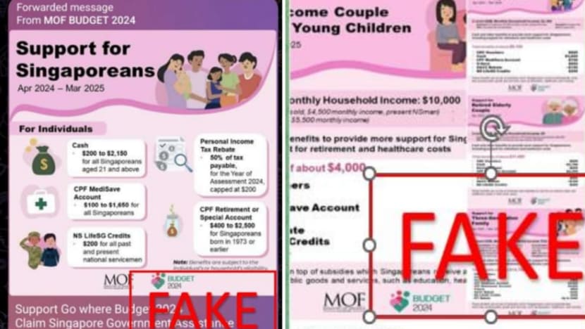 Police warn of phishing scam involving fake Budget 2024 infographics on ...