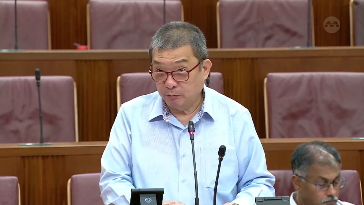 Committee of Supply 2024 debate, Day 2: Sitoh Yih Pin on scams through ...