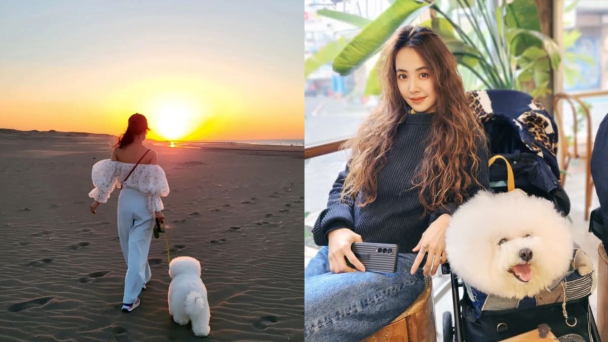 Jolin Tsai mourns death of 18-year-old Bichon Frise - TODAY