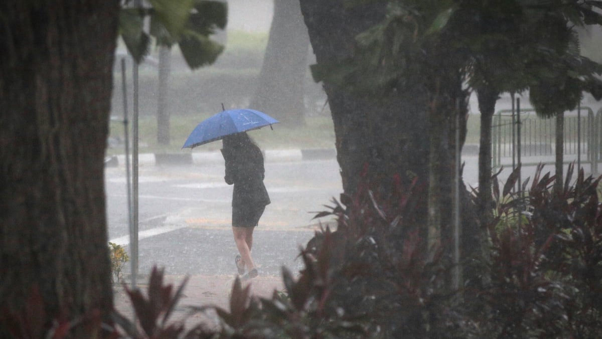 Showers expected in 2nd week of October, respite to warm weather - TODAY