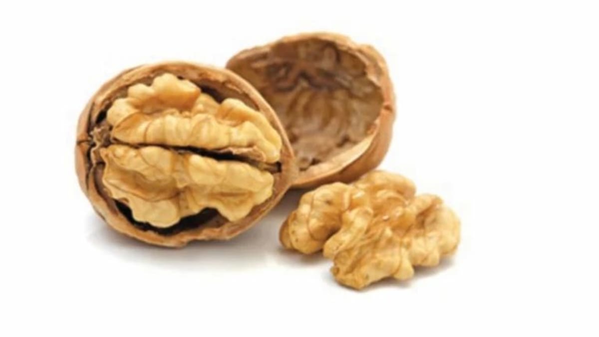 Khasiat kacang walnut untuk kesihatan yang perlu anda tahu - BERITA ...