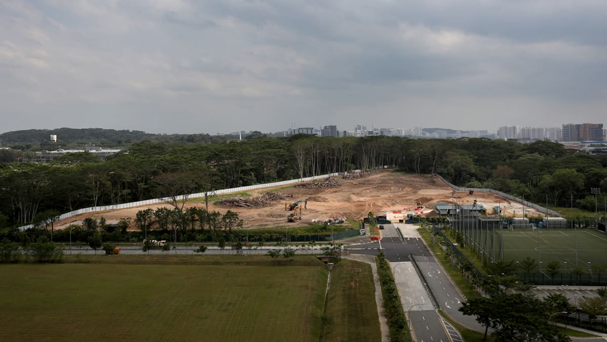 Explainer: The history of the cleared Kranji woodlands, and what could ...
