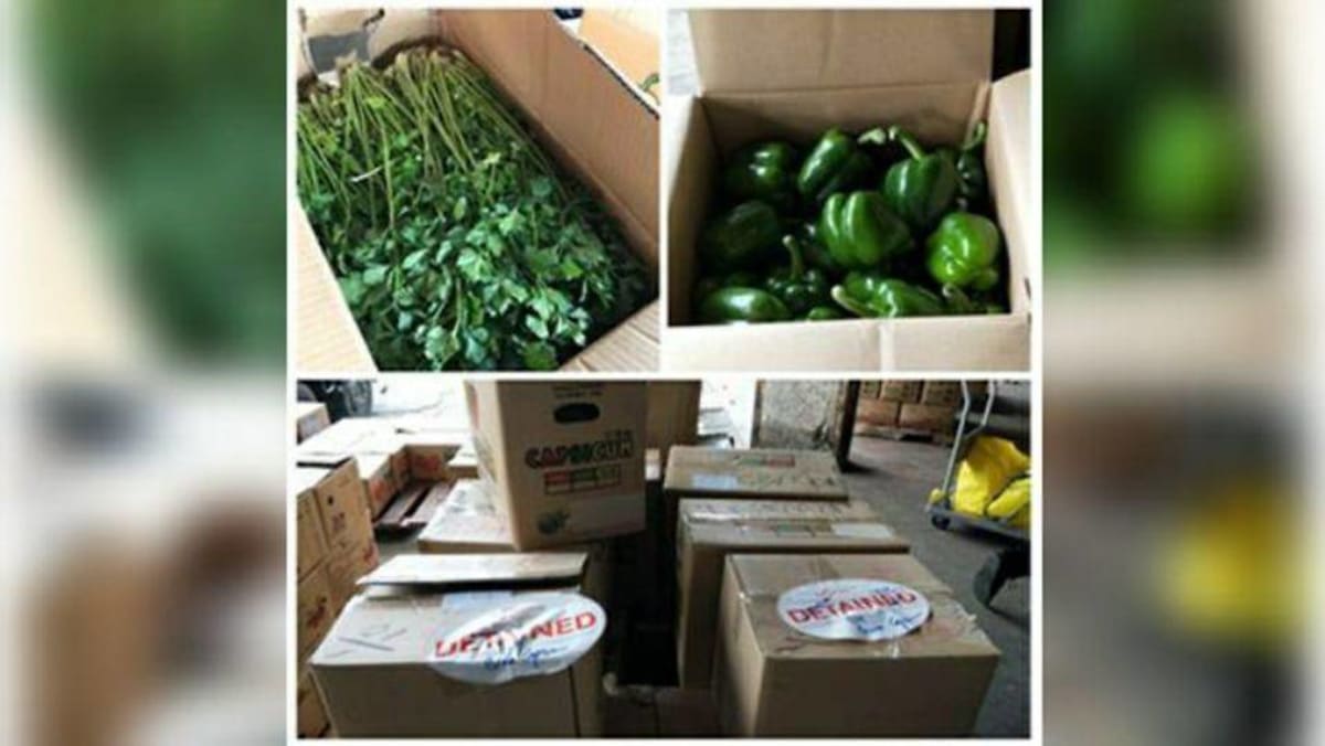 Importer fined for illegal import of fresh vegetables - CNA