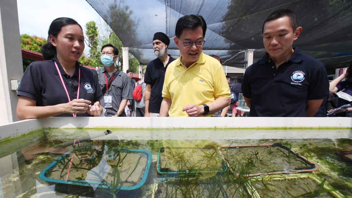 3 pelampung dengan alat penderia dipasang di perairan SG jelang 2025 ...