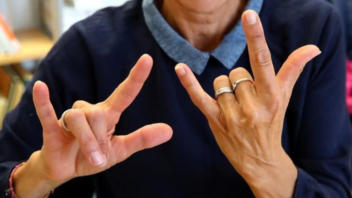 சிங்கப்பூர் சைகை மொழி அங்கீகரிக்கப்படுமா? - Seithi Mediacorp