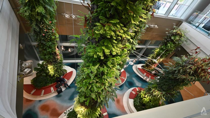 Changi Airport's Terminal 2 fully reopens with lush greenery and ...