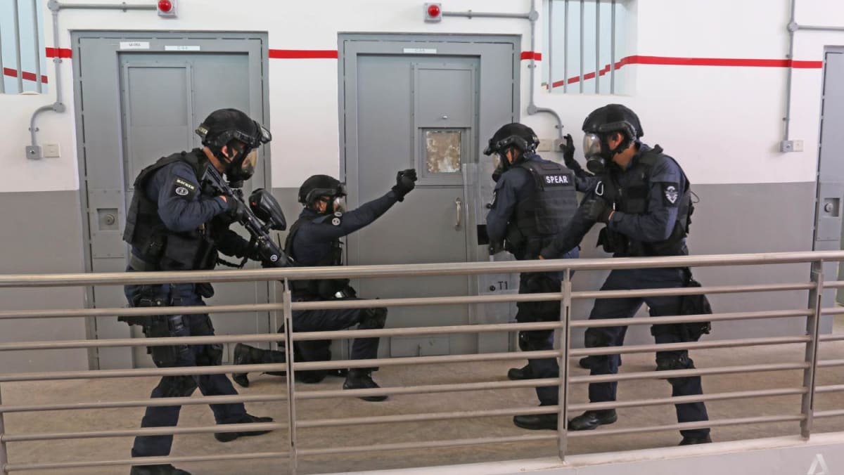 Stun devices and pepper balls: Elite prison security force using tech ...