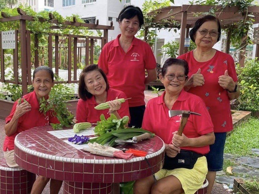 Meet the community gardeners of Marine Crescent Ville who nurture their ...