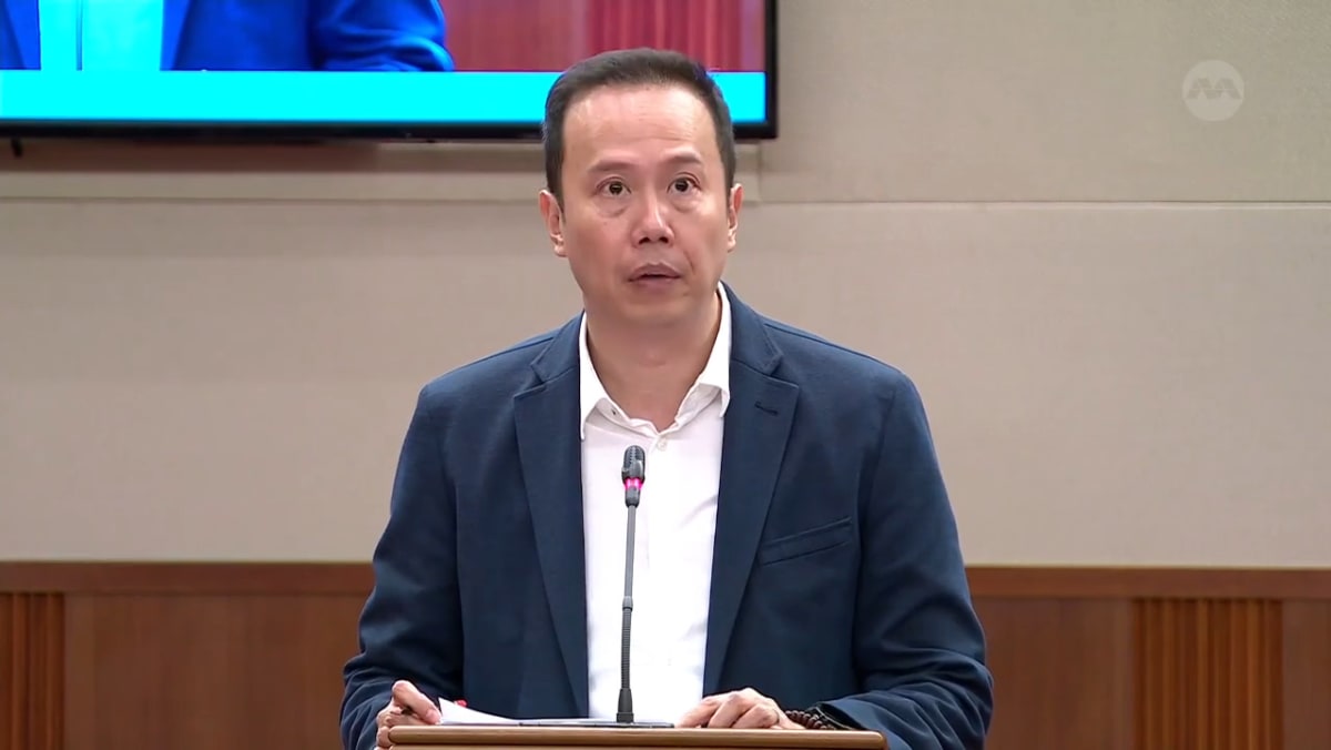 Committee of Supply 2024 debate, Day 3: Mark Lee on schemes to help ...