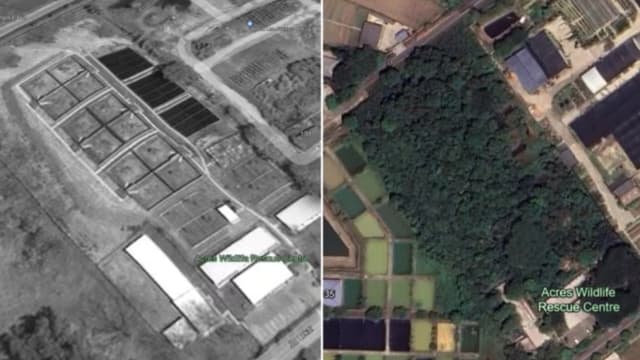 土地因毒污搁置多年 ACRES终于获准重用 - 8world