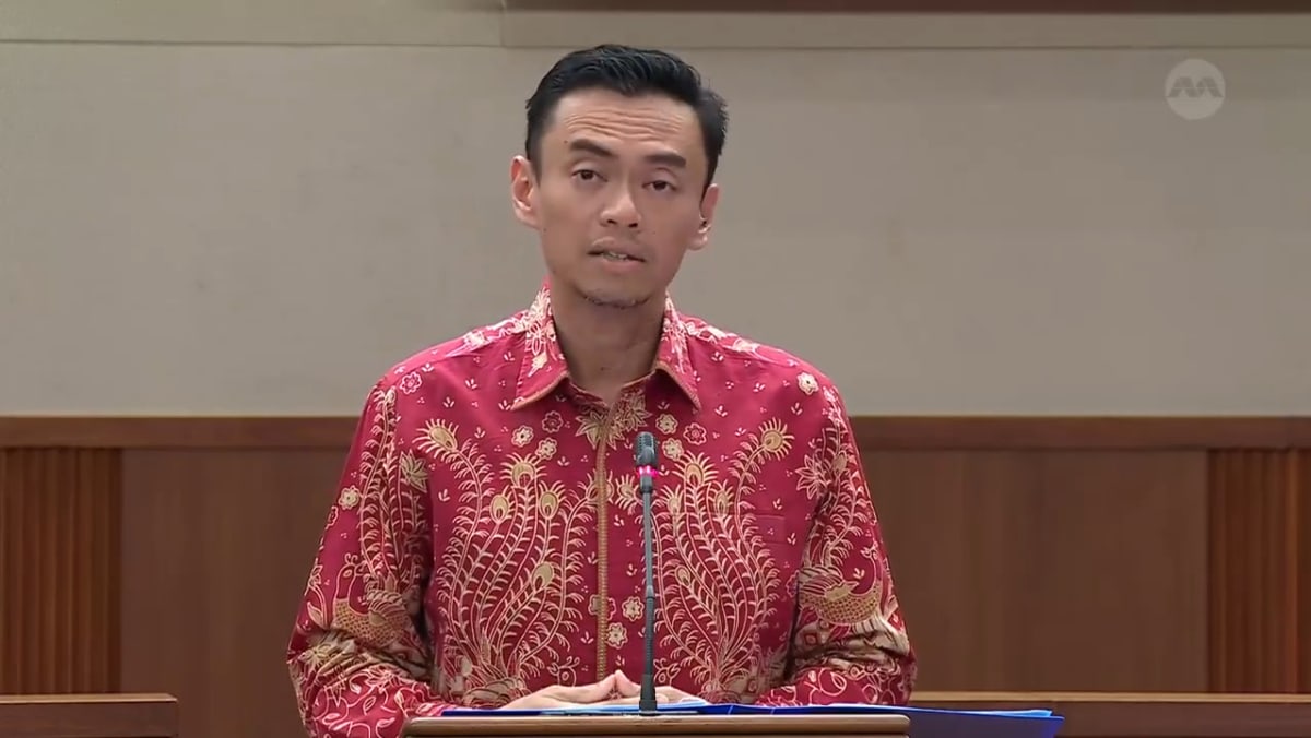 Committee of Supply 2024 debate, Day 6: Wan Rizal on success and health ...