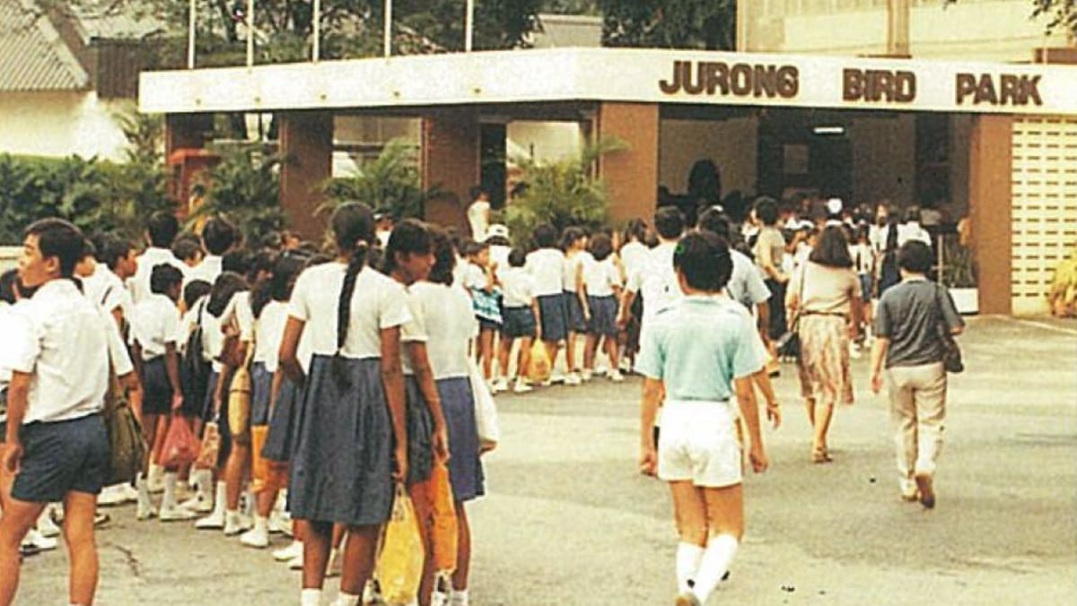 Jurong Bird Park: Key milestones of the iconic Singapore attraction - CNA