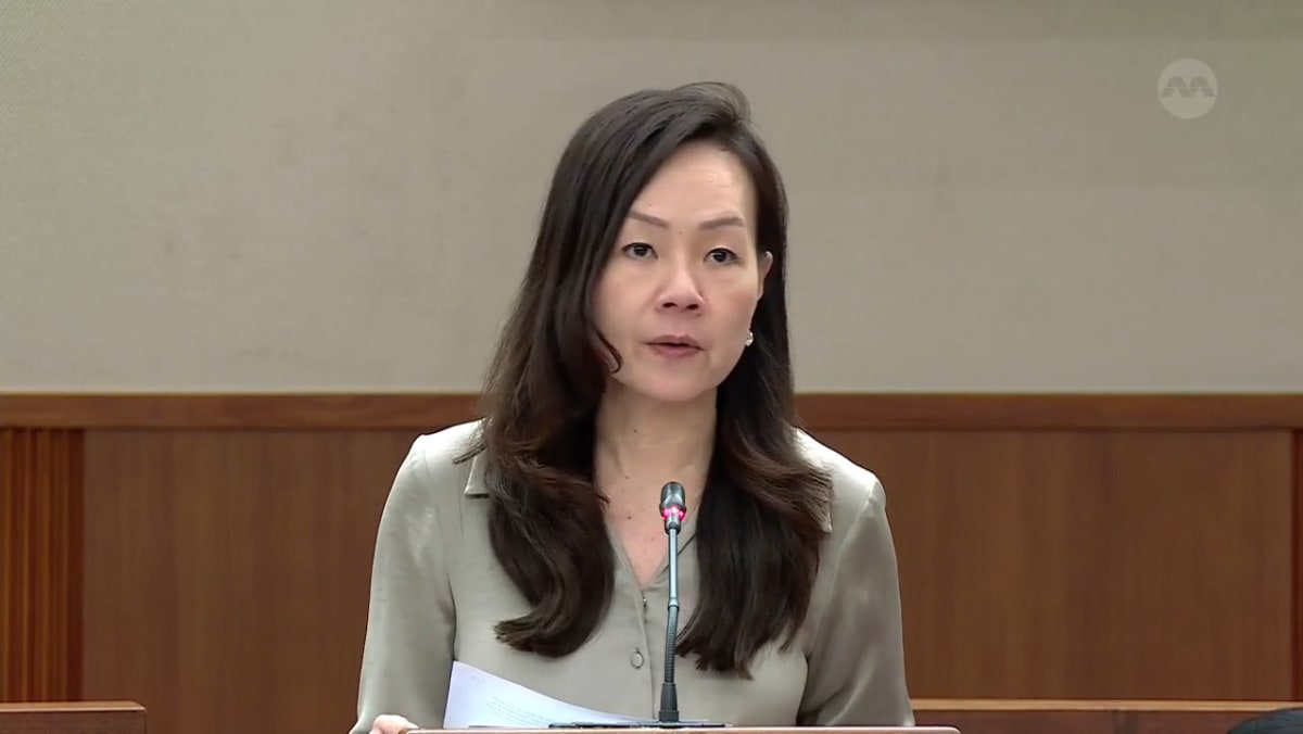 Committee of Supply 2024 debate, Day 4: Rachel Ong on removing barriers ...