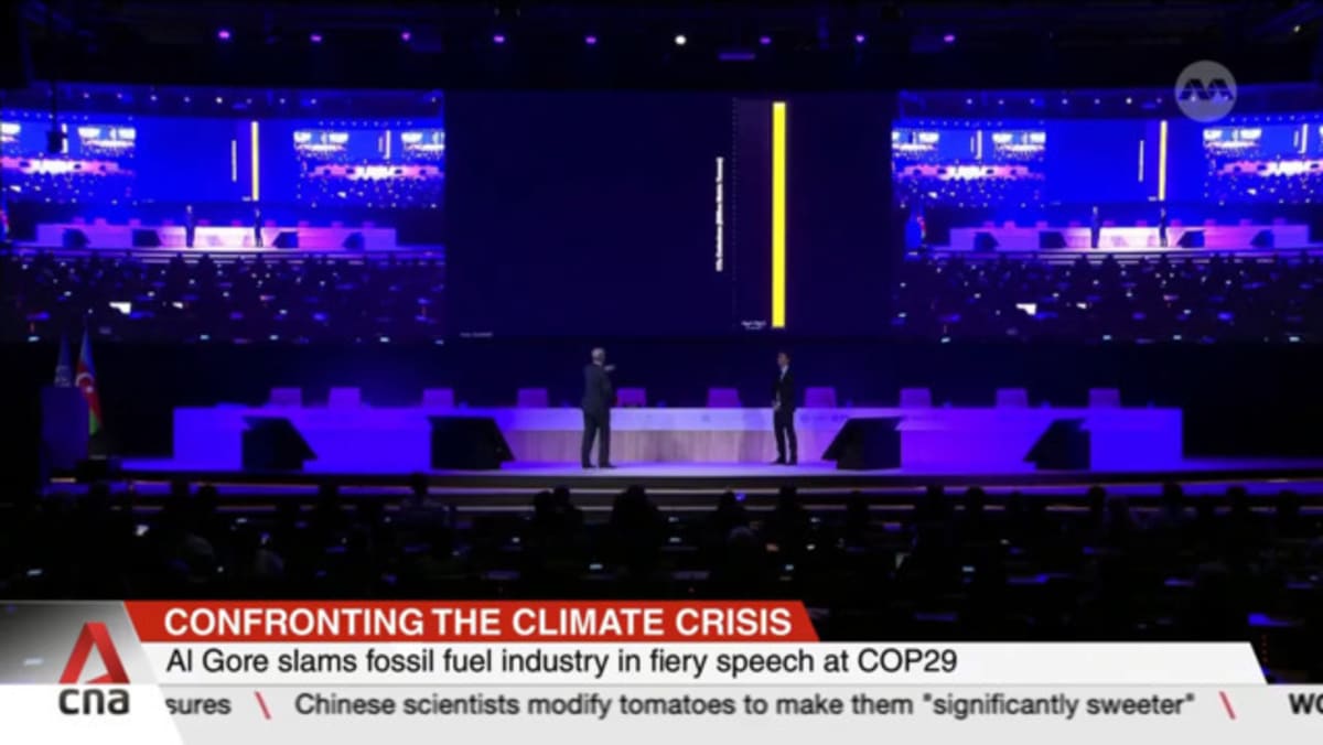 Climate leaders say COP29 talks not fit for purpose and need reform - CNA