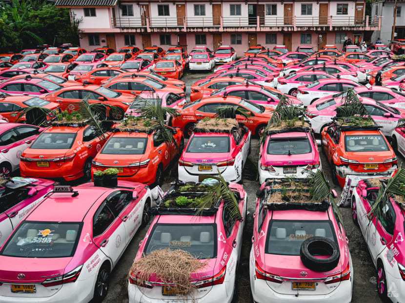 Taxi cab gardens emerge in Bangkok as drivers quit and debts grow - CNA ...