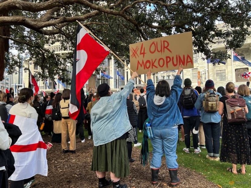 New Zealanders gather across country to protest new policies - TODAY