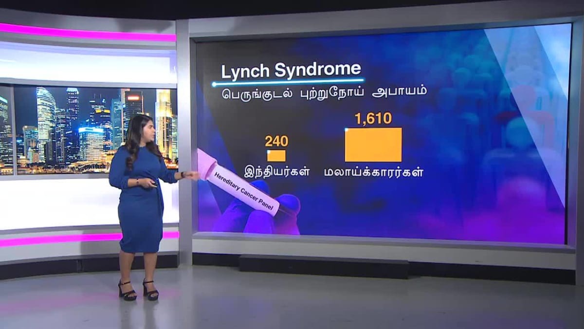 Precise-SG100K திட்டம் - எதற்காக? என்ன பயன்? - Seithi Mediacorp