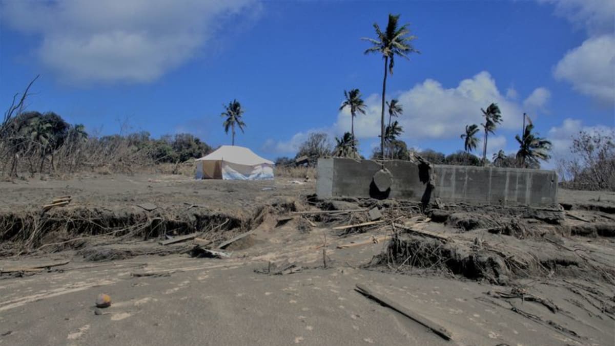 Tonga reconnects to world as submarine cable restored after tsunami - CNA