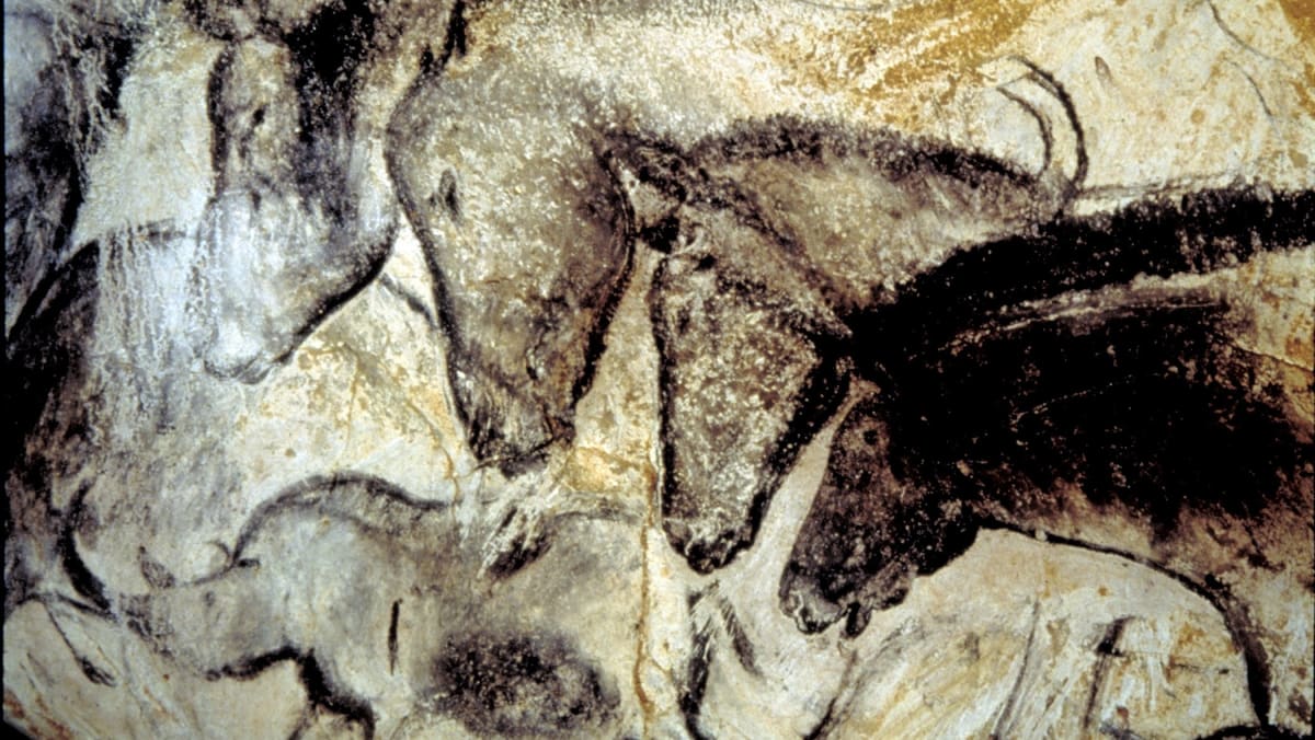 UNESCO adds French cave art to world heritage list - TODAY