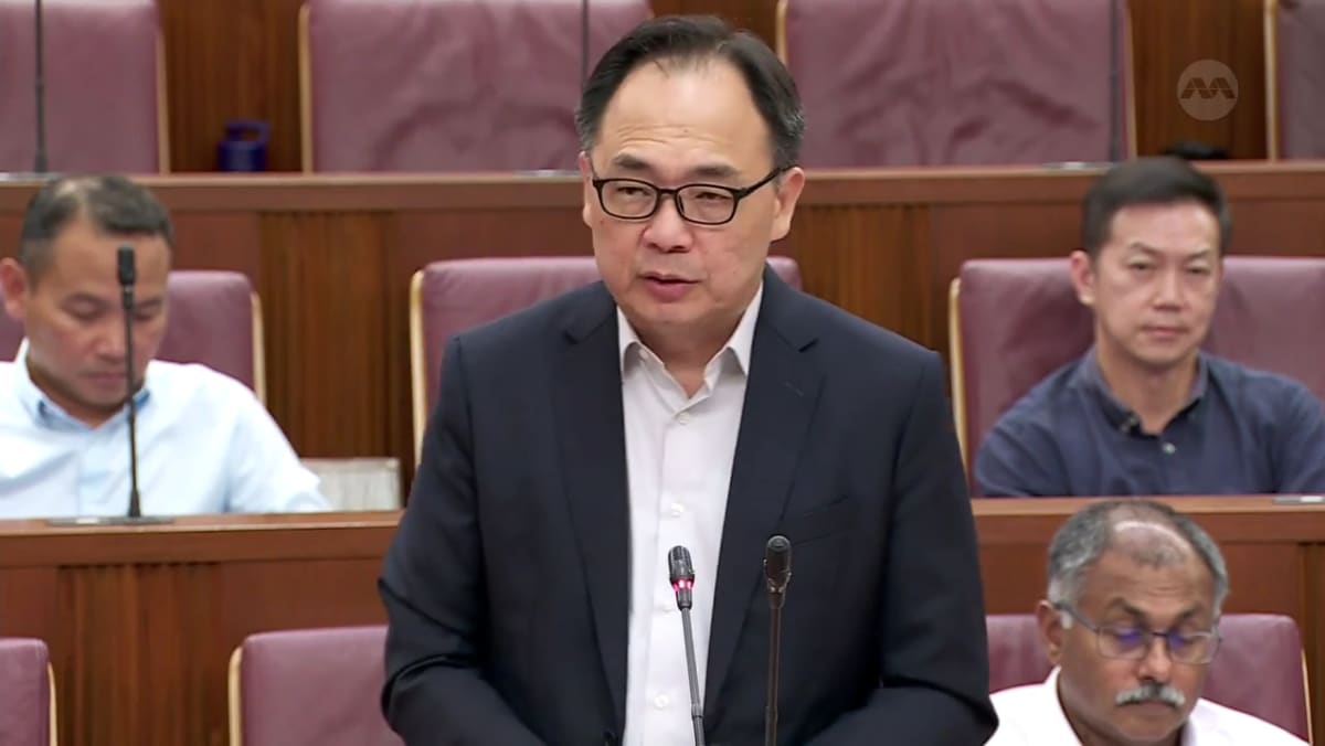Liang Eng Hwa on Significant Investments Review Bill - CNA