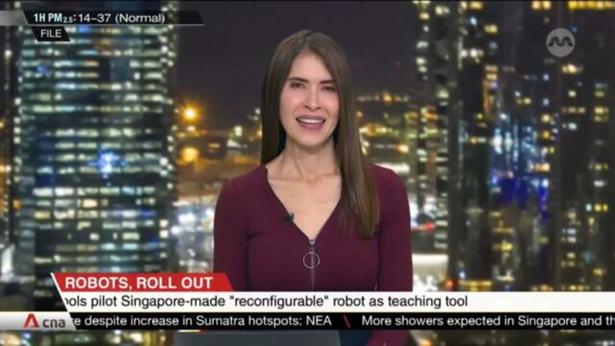 Schools testing Singapore-made transformer robots to help teach ...