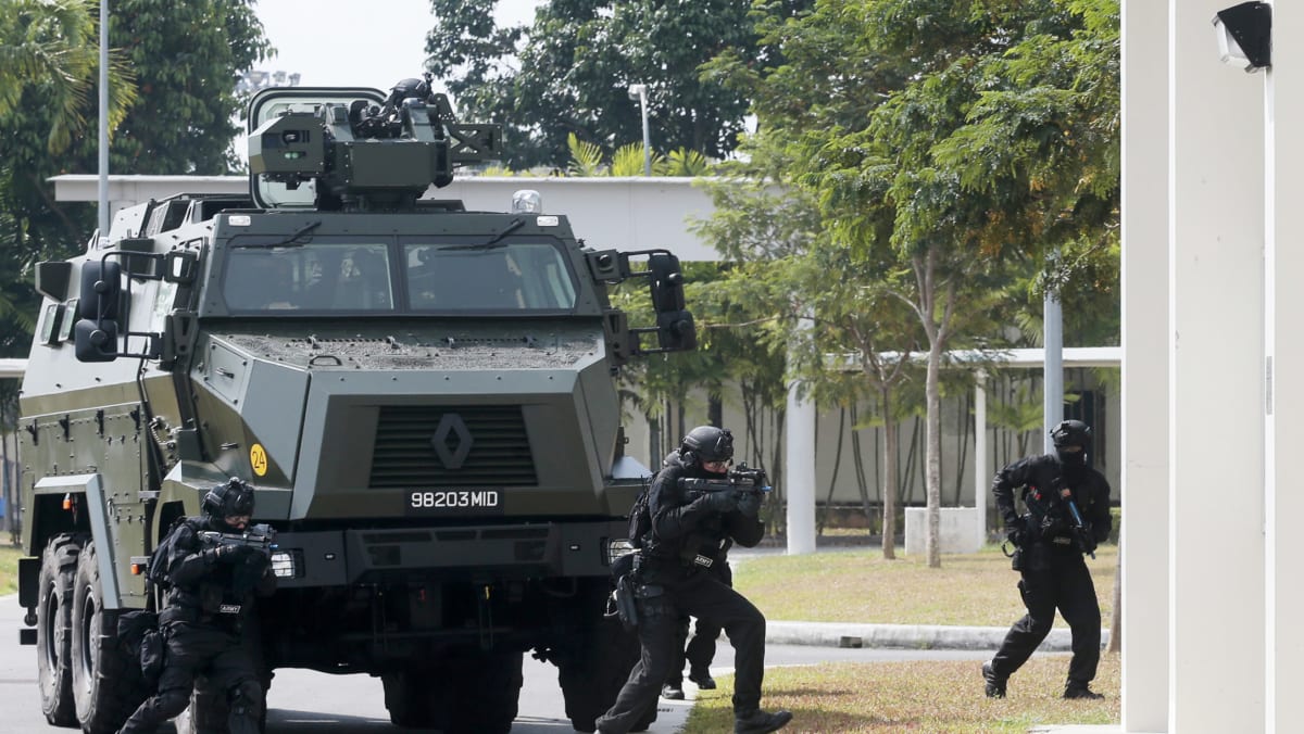 SAF ramps up counter-terror capabilities - TODAY