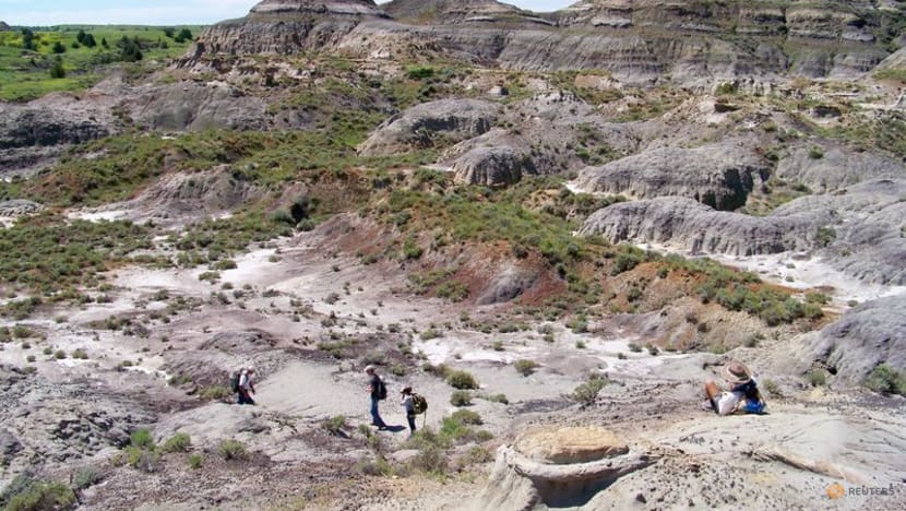 Rare fossil of adolescent Tyrannosaurus - 'Teen Rex'- found by US kids ...