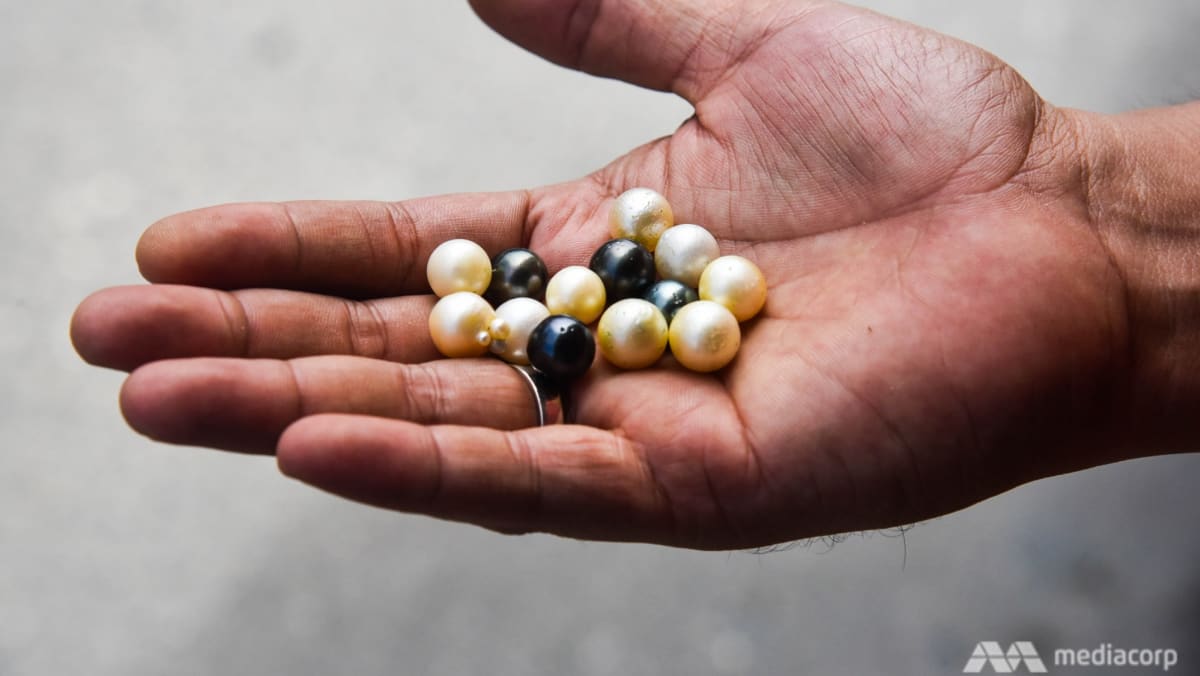 Shine comes off Indonesia's booming pearl industry as new challenges ...