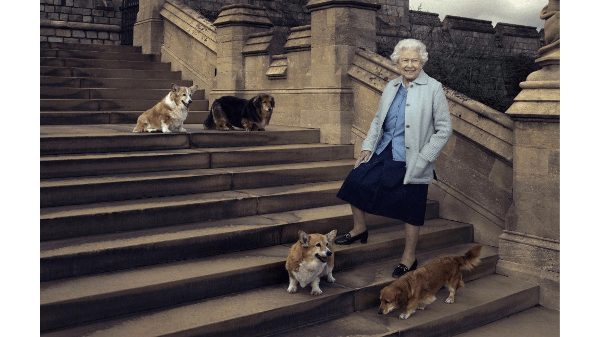 Queen Elizabeth mourns dog - 8days