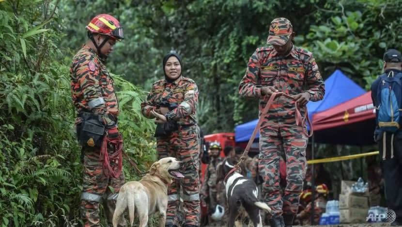 Tanah runtuh Genting Highlands: Anjing pengesan K9 direhatkan setelah ...