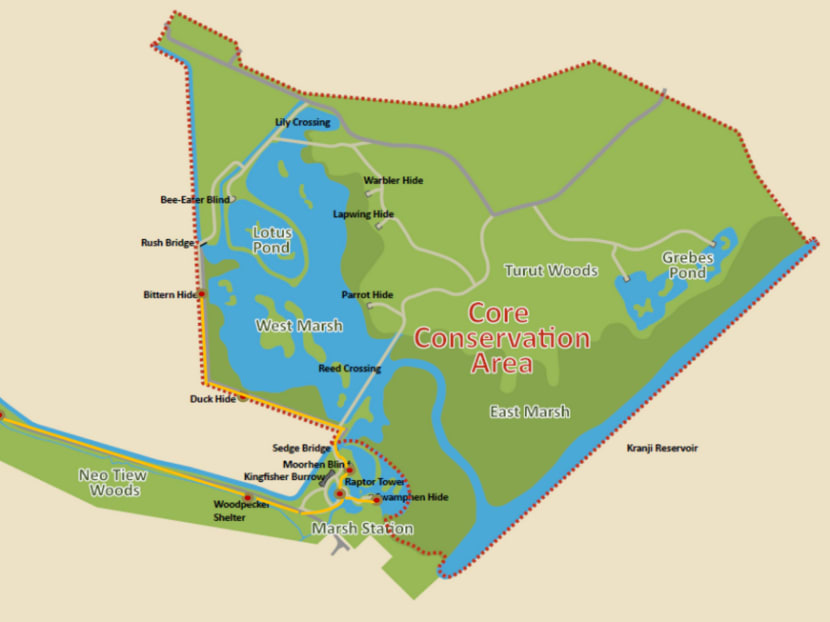 Rich biodiversity on offer as Kranji Marshes open - TODAY