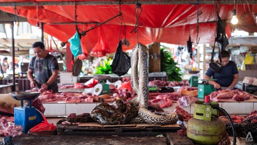 Bludgeoned to death, charred by blowtorch — what many dogs and cats in ...