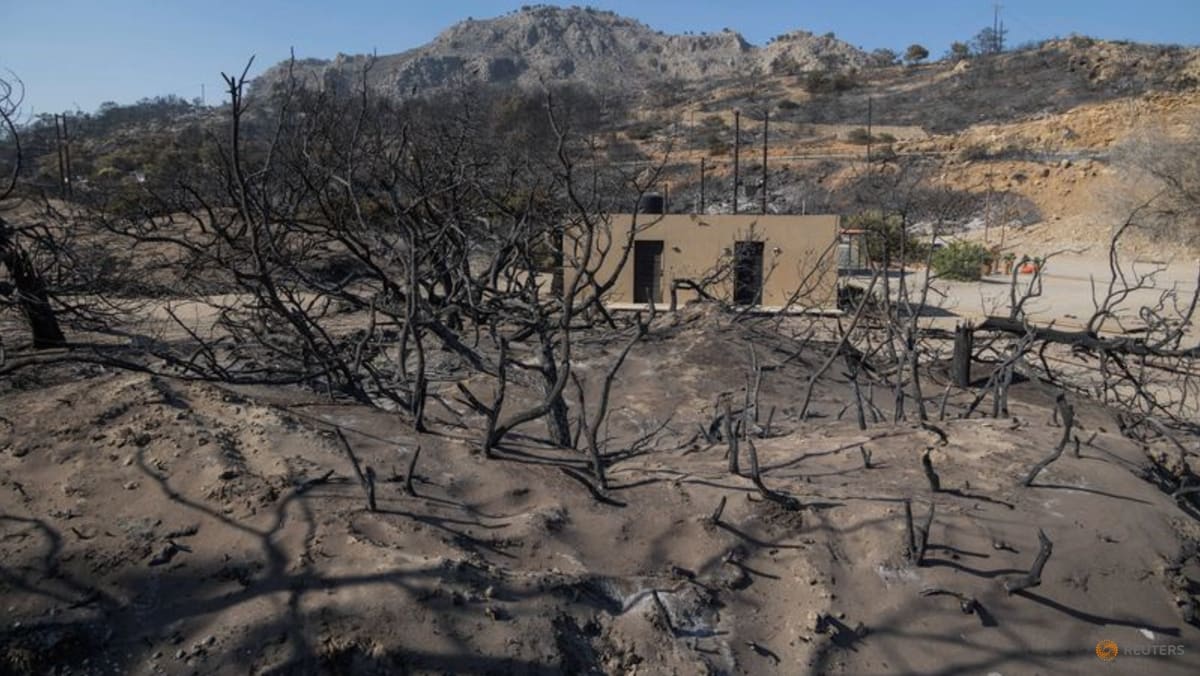 As wildfires rage in Greece, tourists flee and locals shelter - TODAY