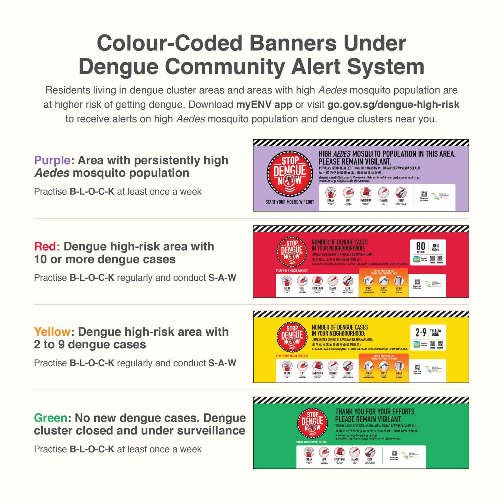 IN FOCUS: Is Southeast Asia losing the battle against dengue? - CNA