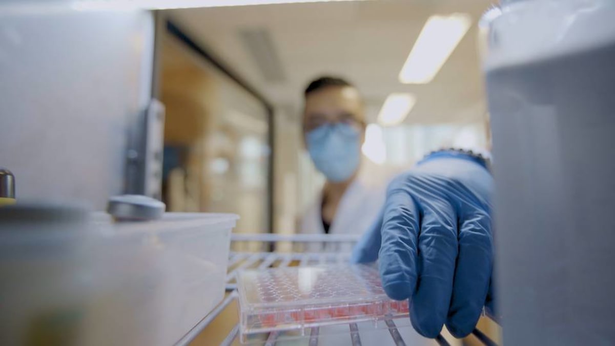 The Hidden Layer: Healthcare Trailblazers: Using AI To Battle Chronic ...