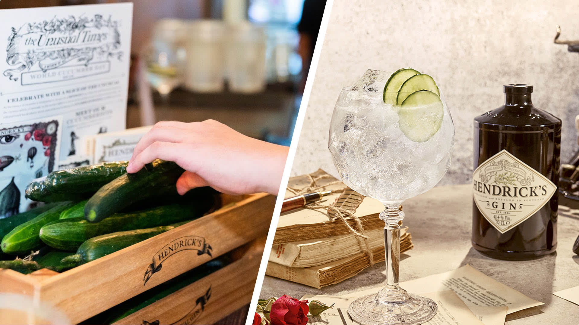 world cucumber day latest news & coverage - 8days