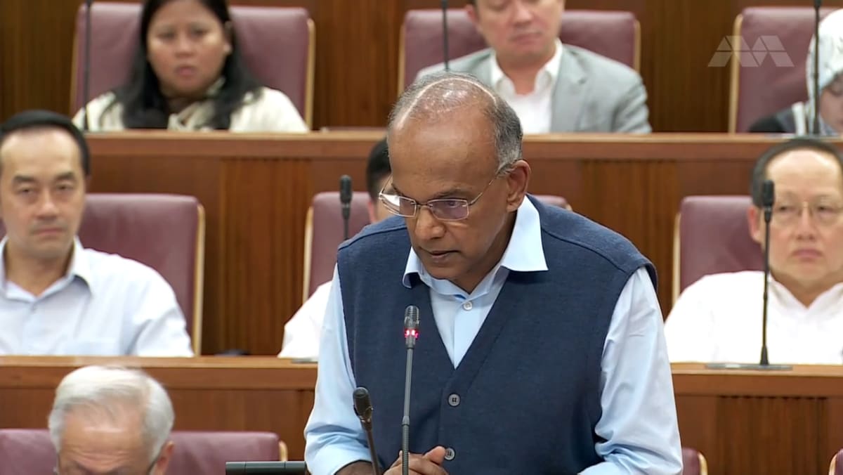 K Shanmugam and Masagos Zulkifli respond to clarifications sought on ...