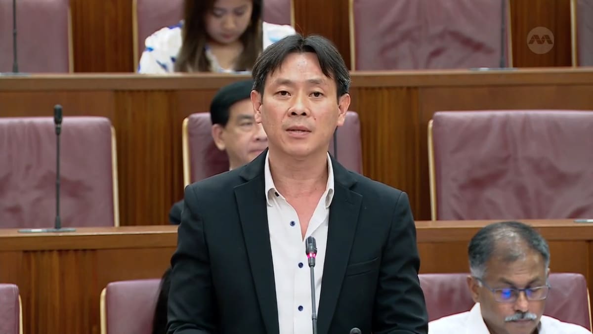 Committee of Supply 2024 debate, Day 5: Louis Ng on extending PPHS to ...
