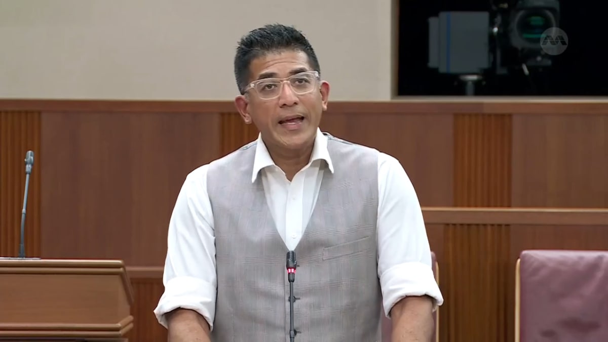 Committee of Supply 2023 debate, Day 7: Darryl David on Sport Hall of ...