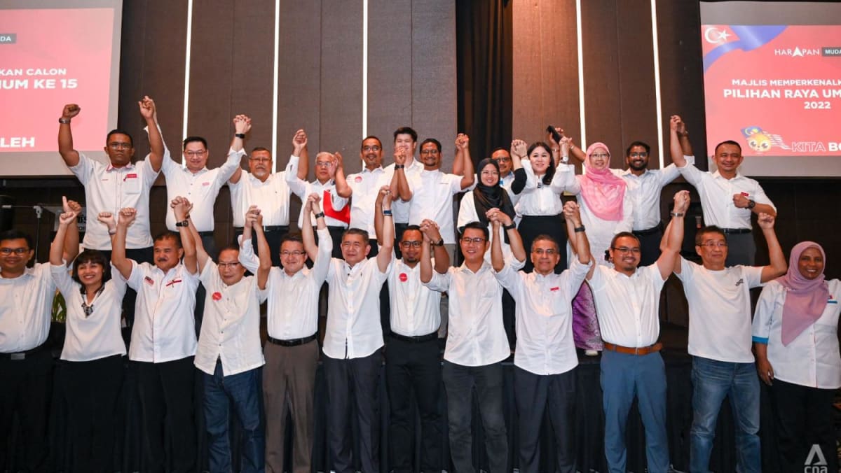 Pakatan Harapan's Johor chapter aims to better performance in Malaysia GE15 - CNA