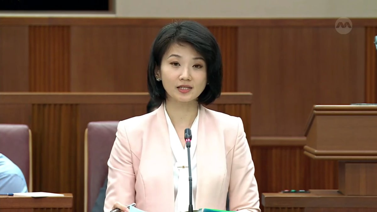 Sun Xueling on infant childminding pilot - CNA