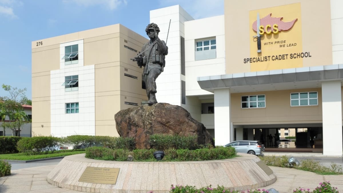 Two NS-themed MRT trains to celebrate NS50 - TODAY