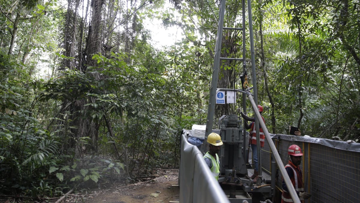 Cross Island Line: Environmental impact can be ‘adequately managed’ for ...