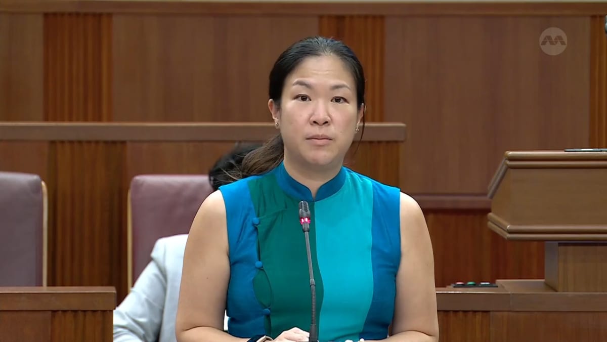 Committee of Supply 2024 debate, Day 4: He Ting Ru on ensuring ...